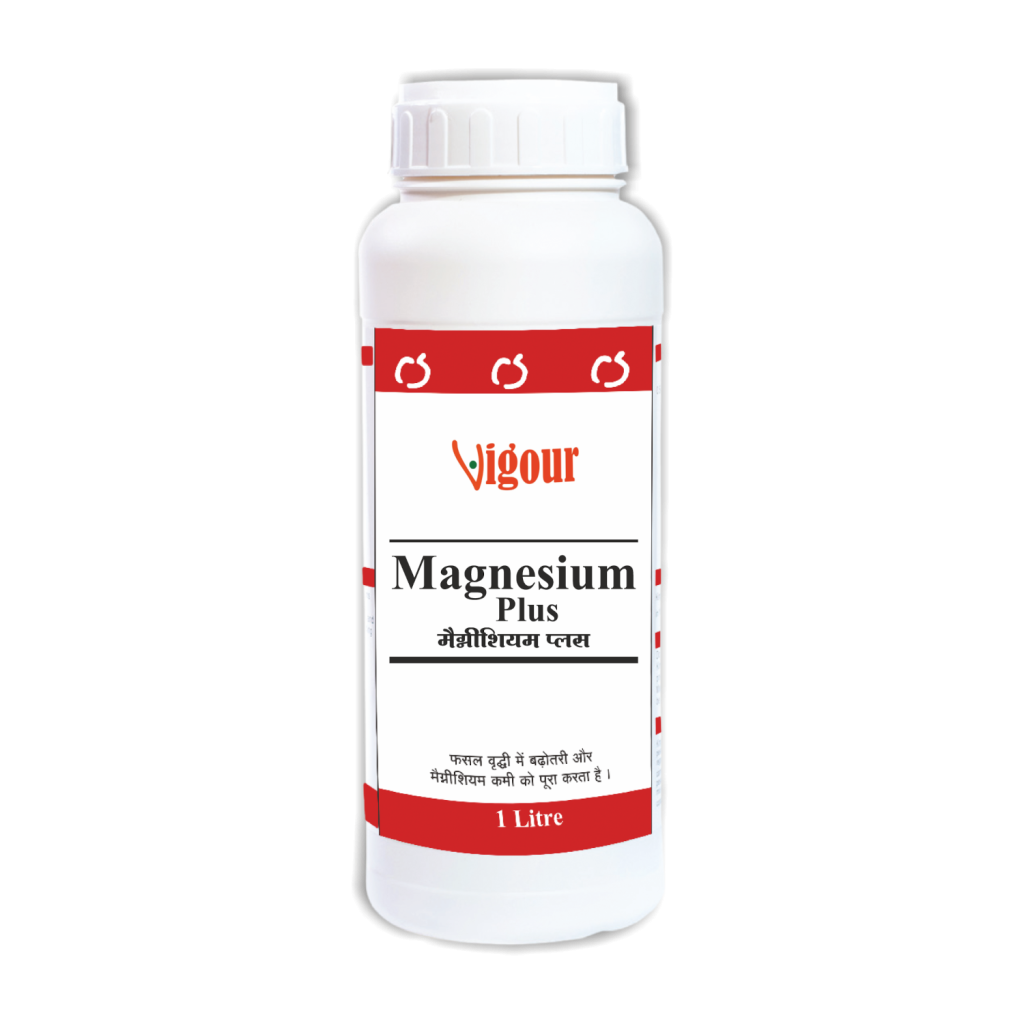 Magnesium Plus – Vigour