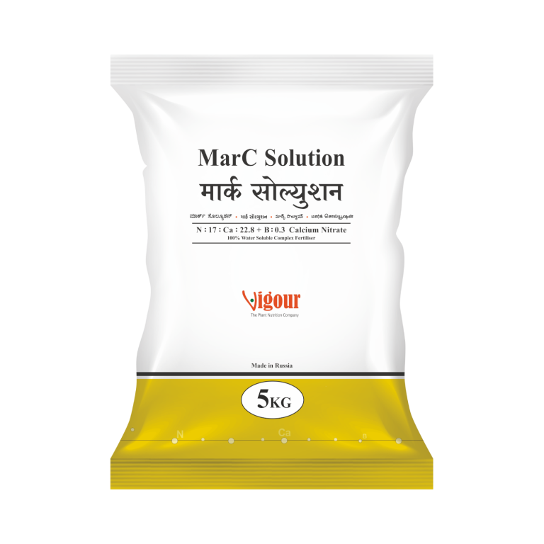 Albert Solution – Vigour